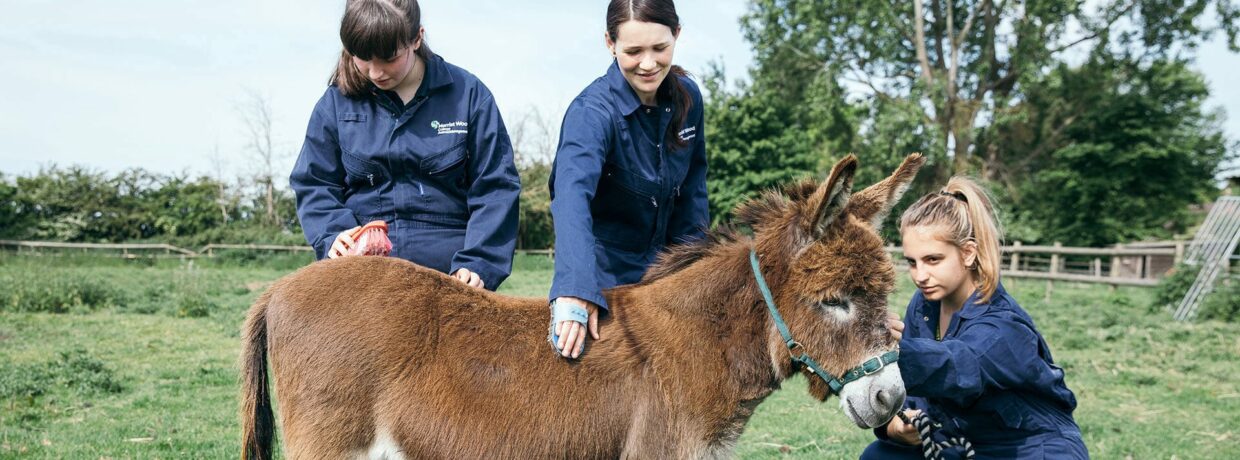 Animal Management and Agriculture - Banbury and Bicester College