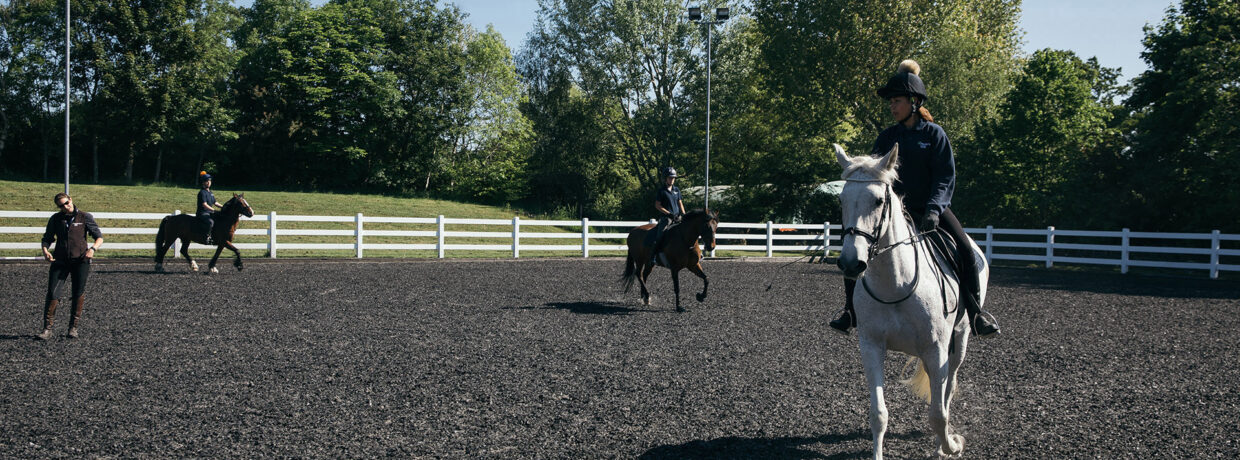 Equine Management - Merrist Wood College
