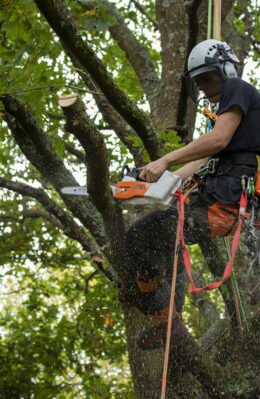 Merrist Wood College