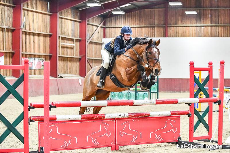 Dog Day Care Centre - Merrist Wood College