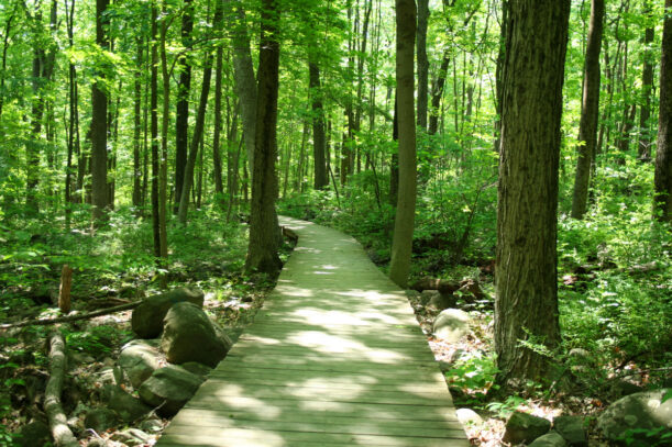 Our top 10 reasons why getting out in nature is GREAT for your mental ...