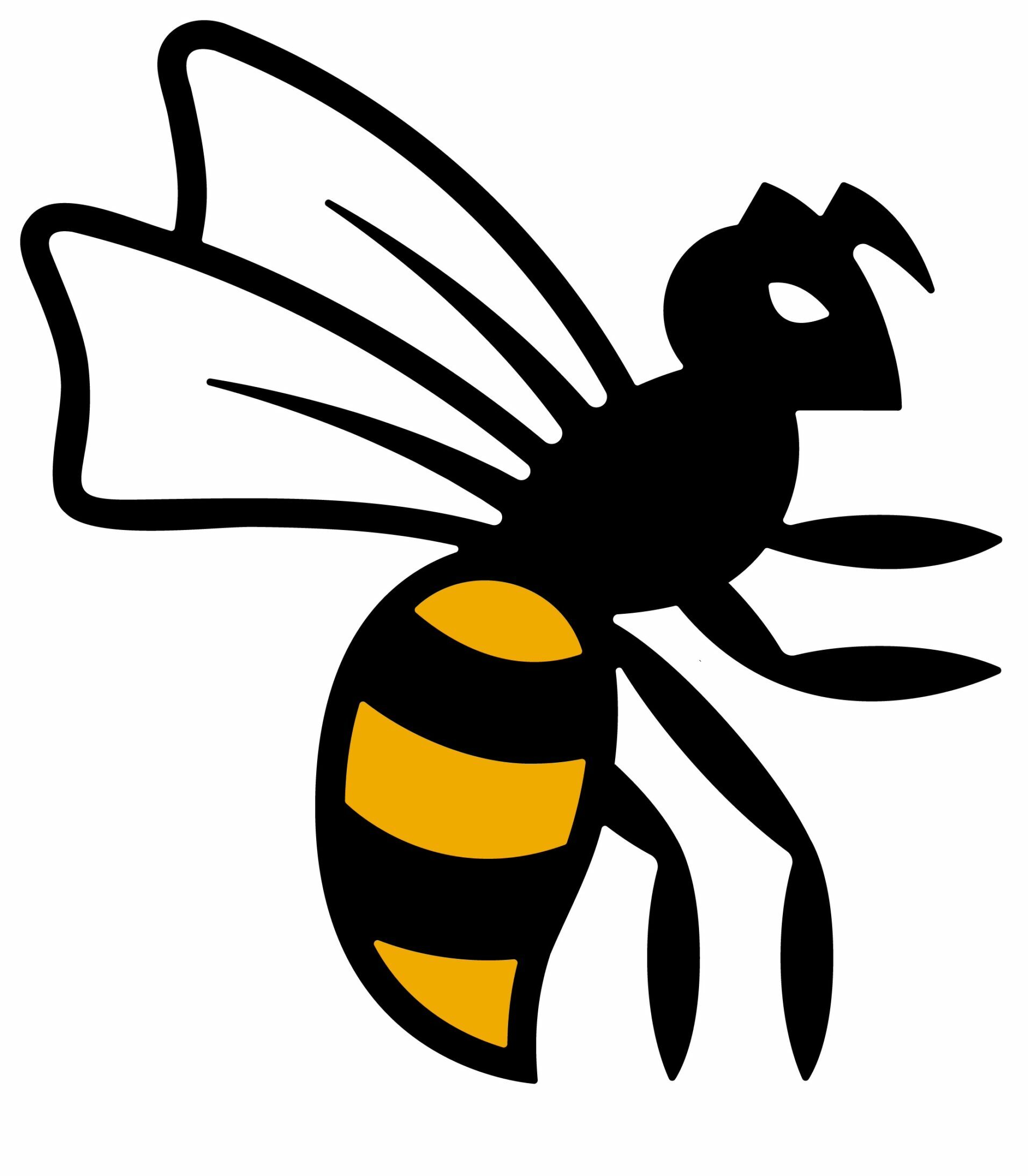 Wasps ACE Rugby Programme (Girls) with A Level Pathway - City of Oxford ...