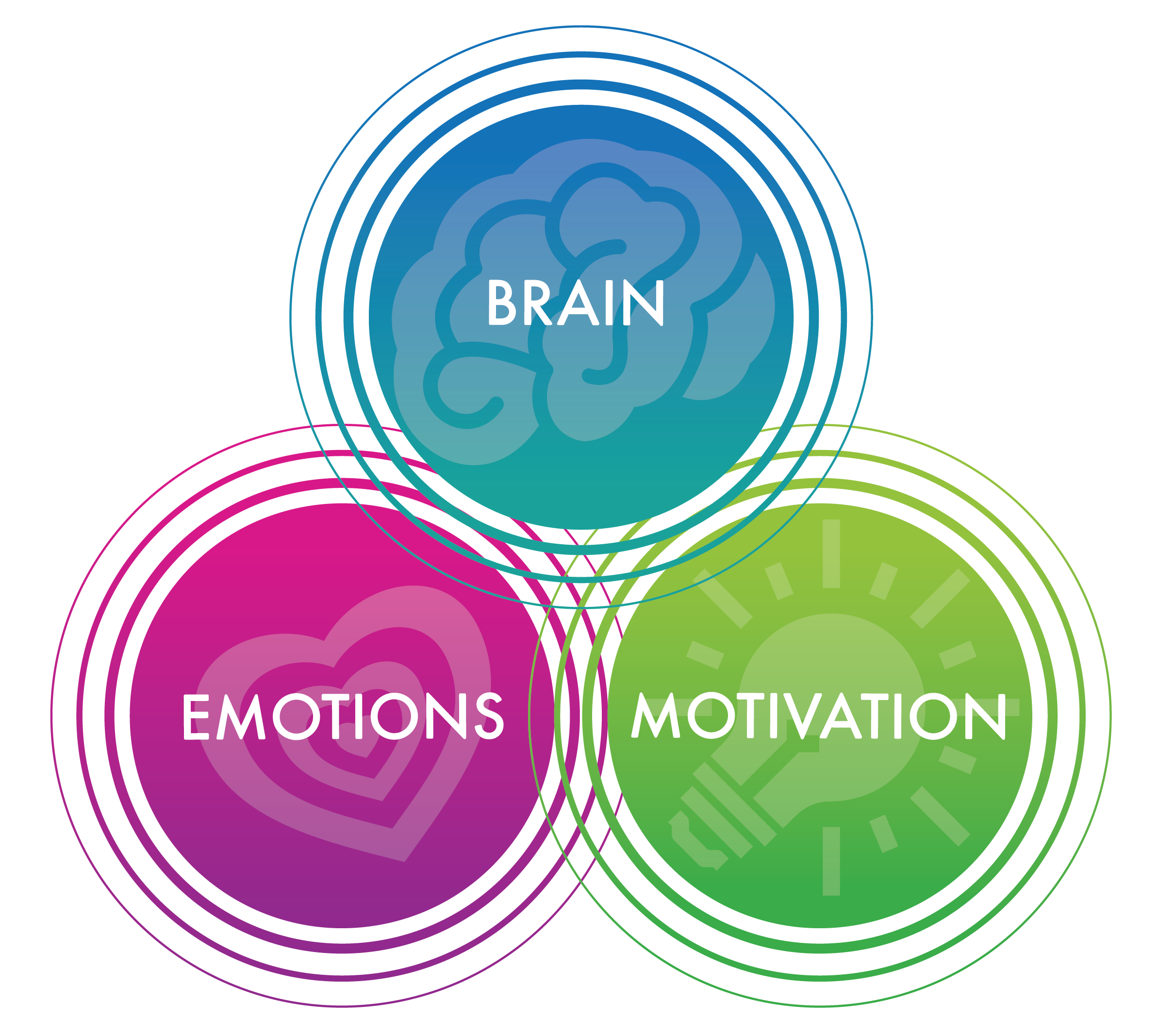 Welcome to Extraordinary Learning - Activate Learning