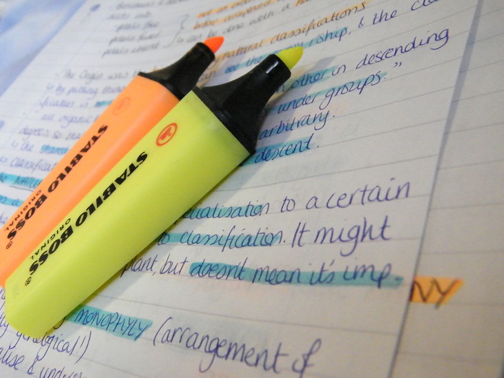 Supporting your A Level exams | Revision tools and tips