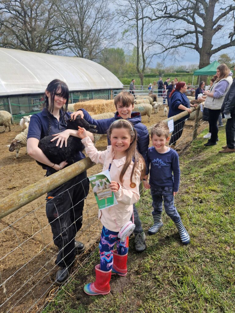 Merrist Wood College’s Fleecy Frolics Delights Visitors with Adorable ...