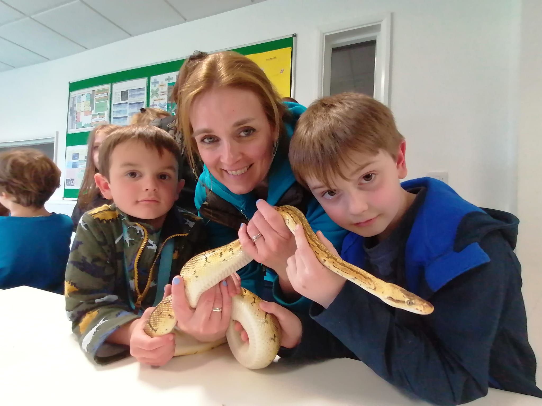 Merrist Wood College’s Fleecy Frolics Delights Visitors with Adorable ...