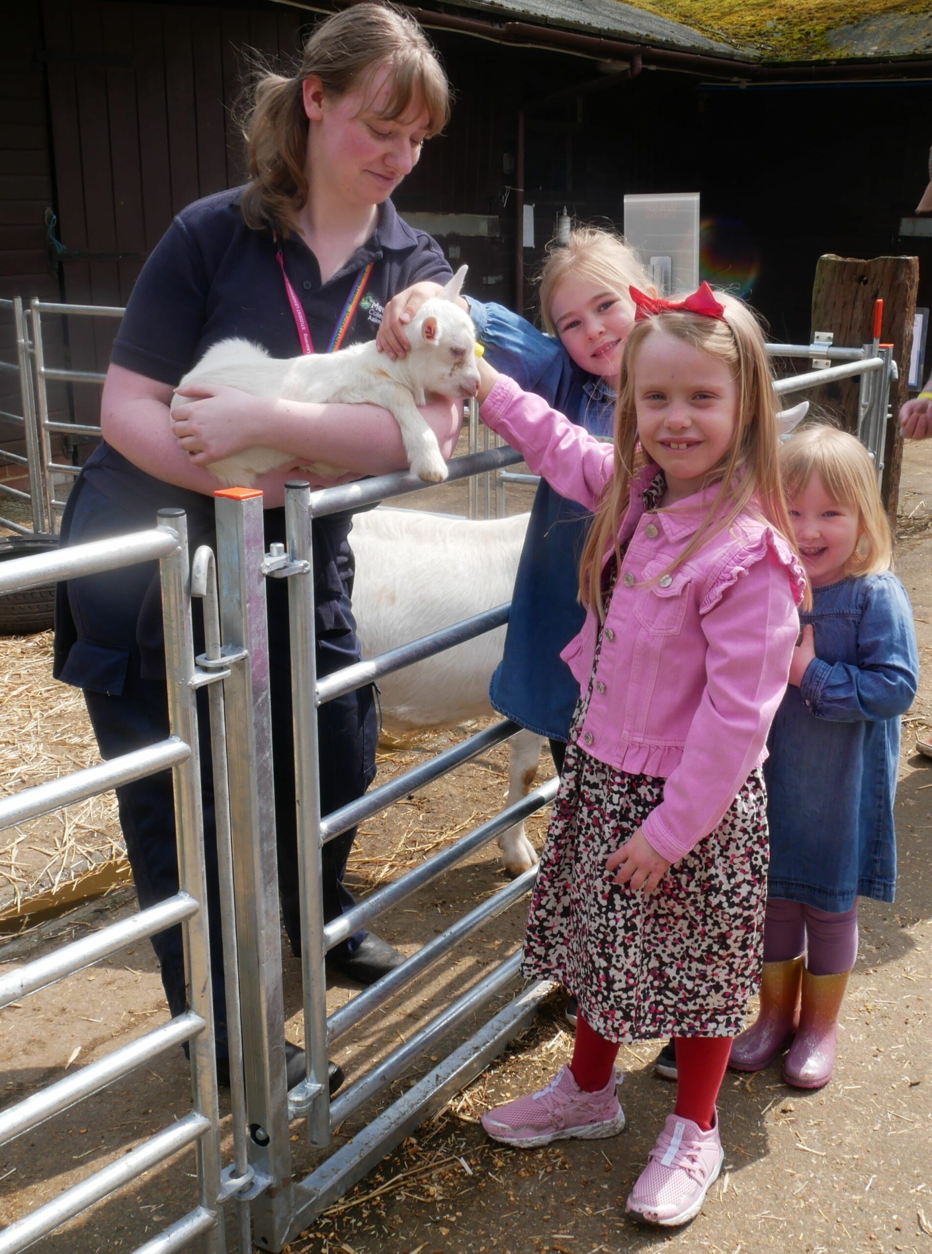 Merrist Wood College’s Fleecy Frolics Delights Visitors with Adorable ...
